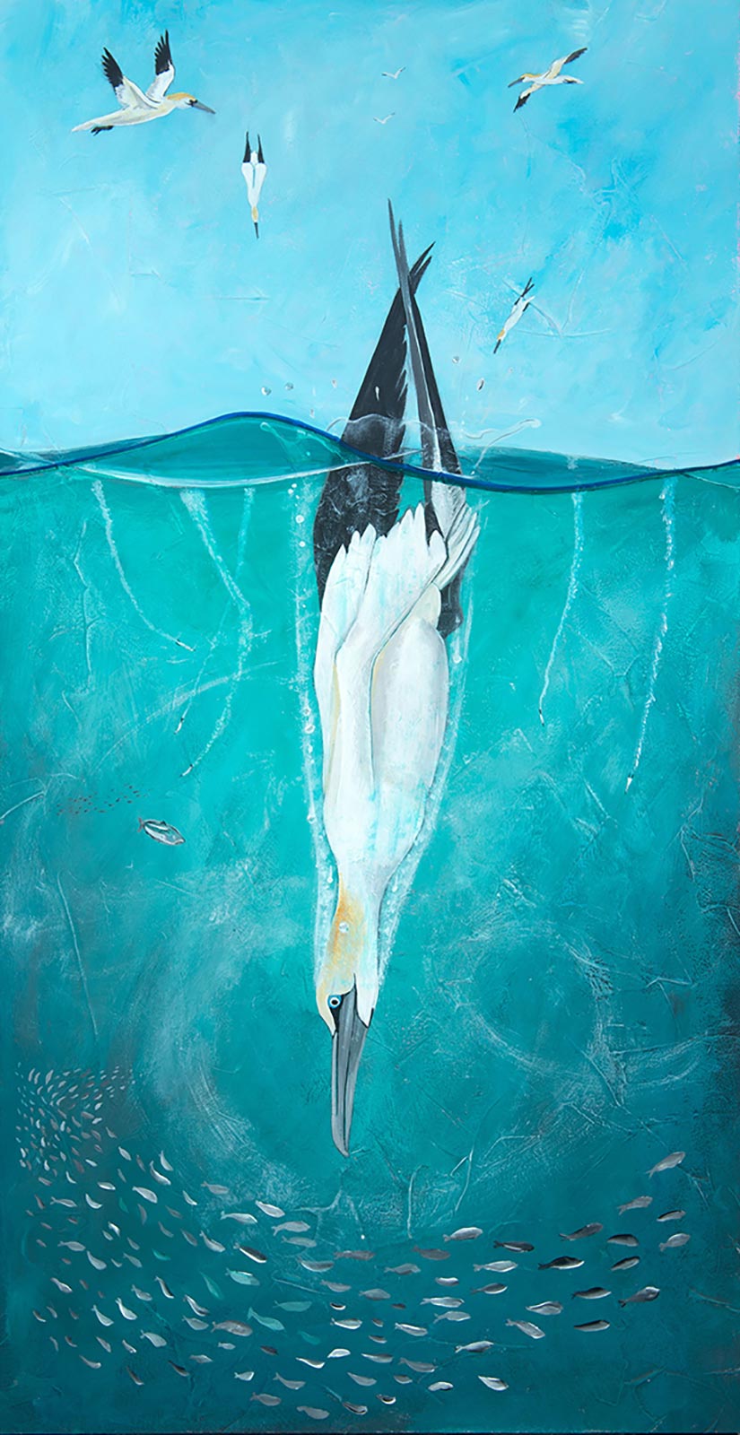 'Diving Gannet' Limited Edition Giclée Art Print - Brian Andrew Ceramics