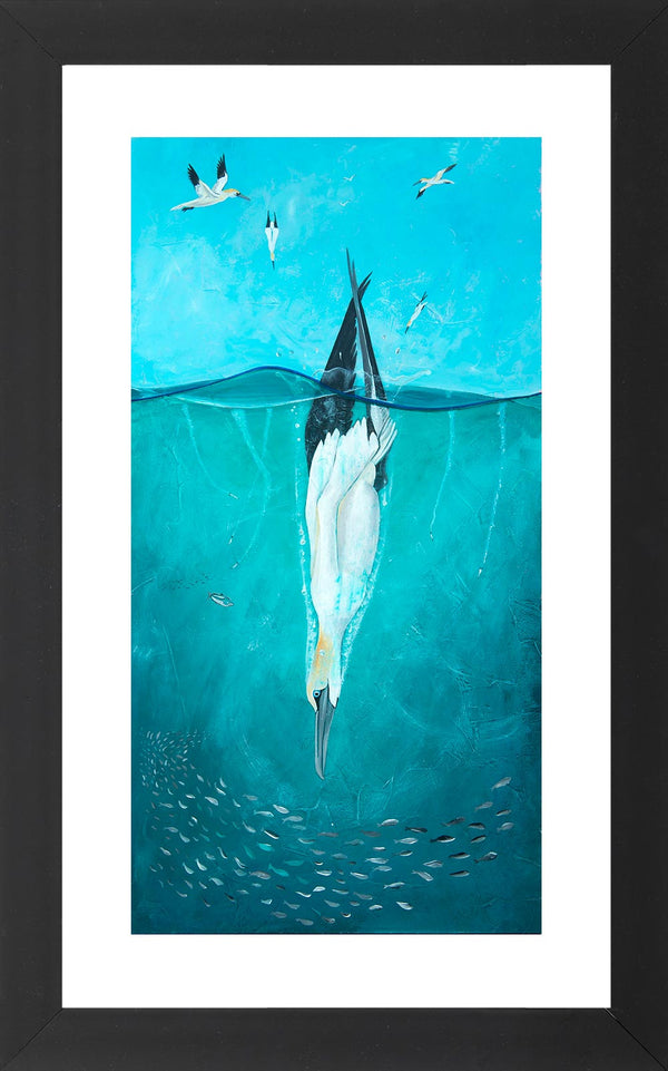 'Diving Gannet' Limited Edition Giclée Art Print - Brian Andrew Ceramics